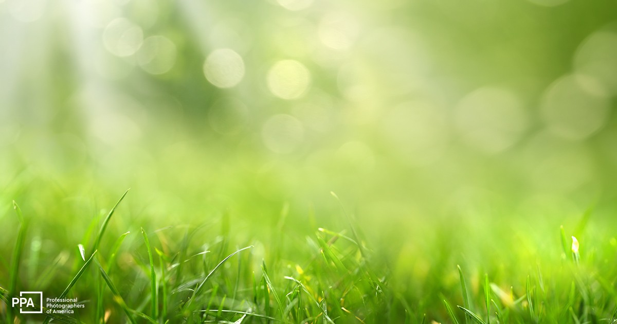 PPA Cares: Going Green at Imaging USA 2024 | Imaging USA